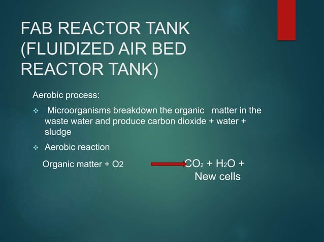 STP Operation Presentation | PPTX