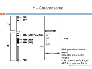 Insight into AZF region of y chromosome and male infertility | PPTX