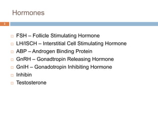 Insight into AZF region of y chromosome and male infertility | PPTX
