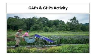 GAP AND GHP | PPTX
