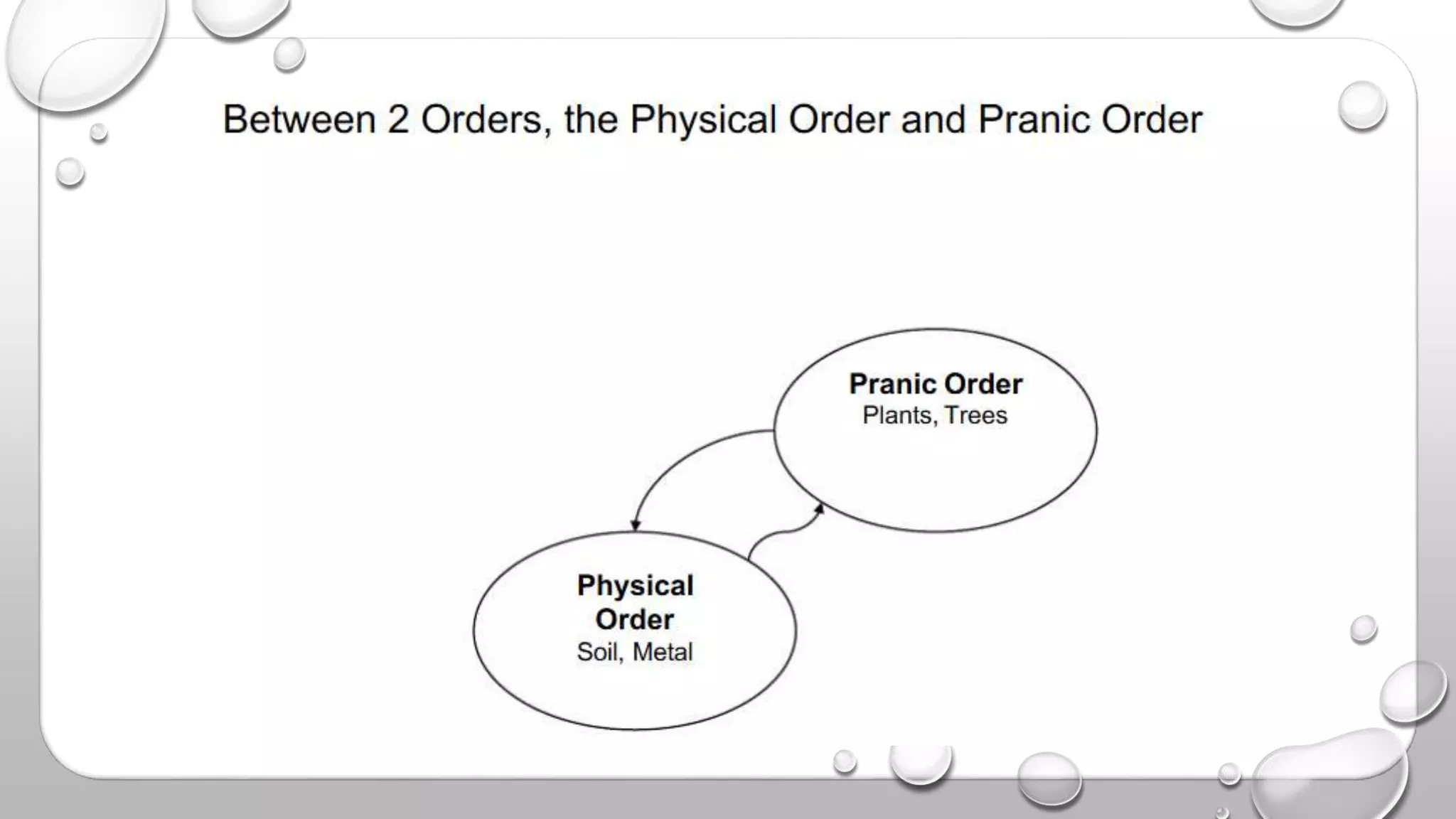 HUMAN VALUES AND ETHICS -ORDER OF NATURE AND THEIR INTERCONNECTEDNESS ...