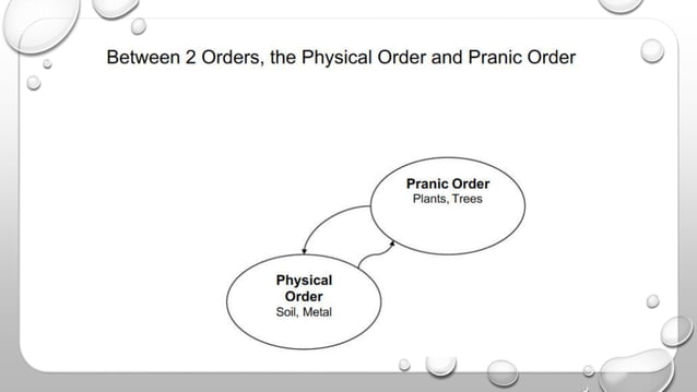 HUMAN VALUES AND ETHICS -ORDER OF NATURE AND THEIR INTERCONNECTEDNESS ...