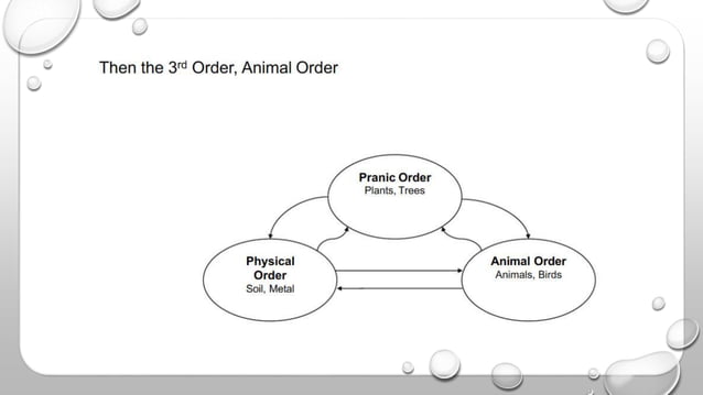 HUMAN VALUES AND ETHICS -ORDER OF NATURE AND THEIR INTERCONNECTEDNESS ...