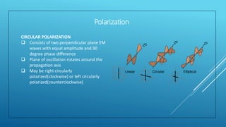 Polarization | PPT
