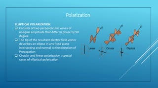 Polarization | PPT