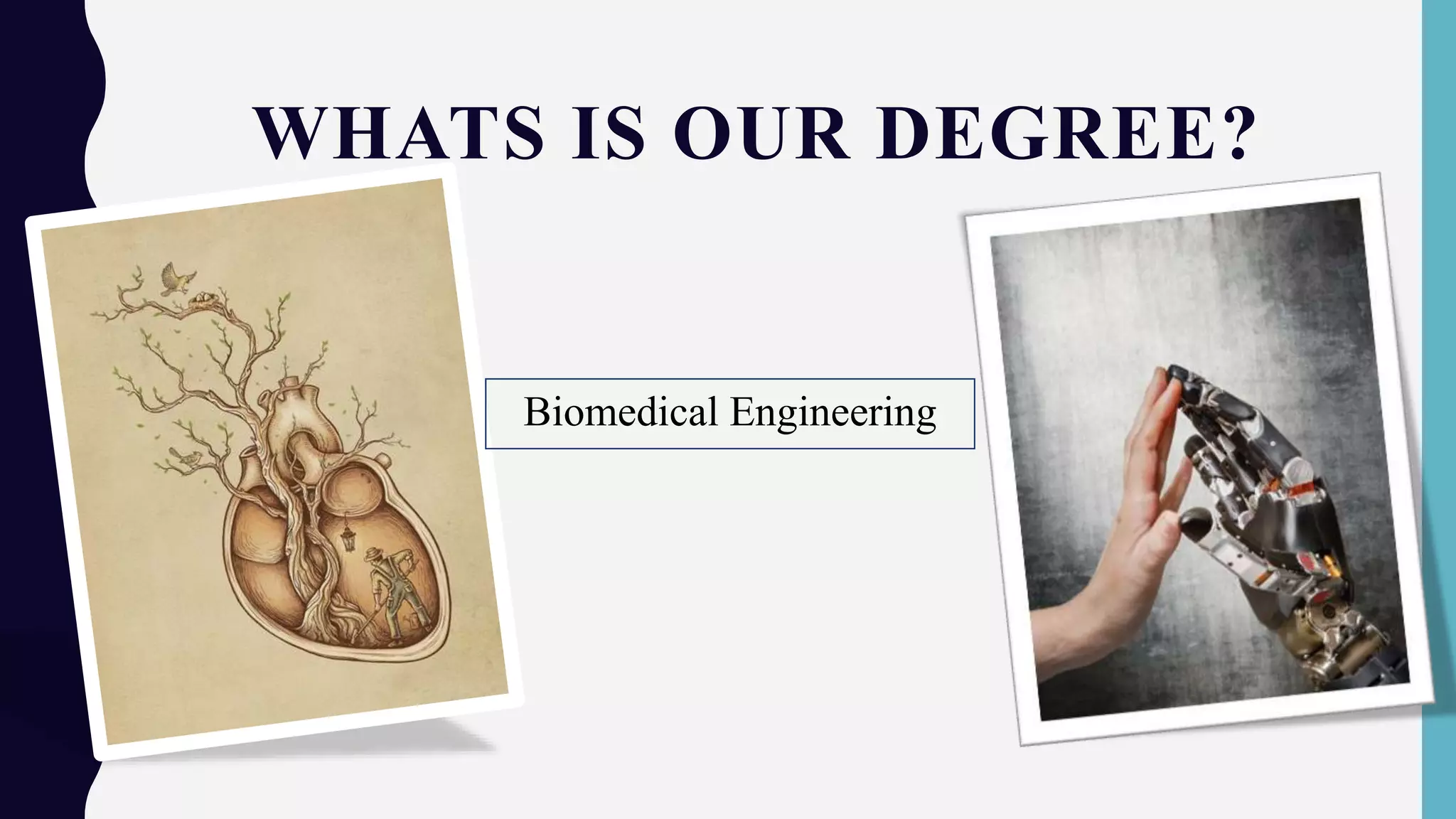 biomedical engineering | PPT