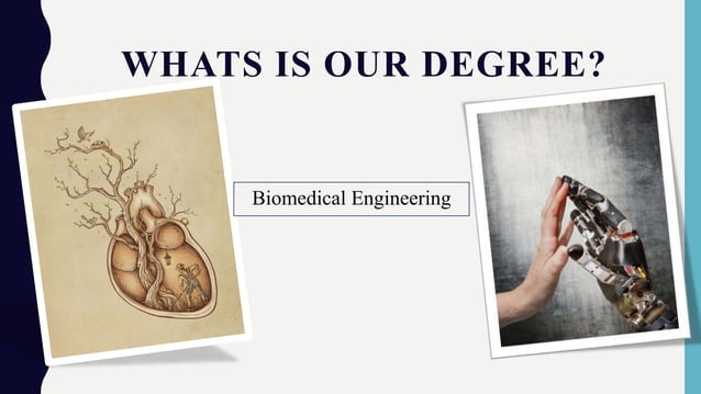 biomedical engineering | PPT