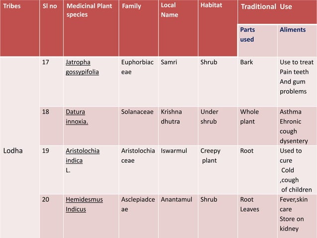 An Ethino-botanical Survey With Special Emphasis On Medicinal Plant ...