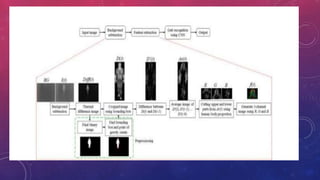 Body-Movement-Based Human Identification | PPT