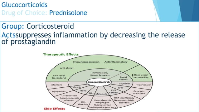Drug therapy of gout | PPTX | Chemistry | Science