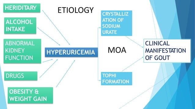 Drug therapy of gout | PPT