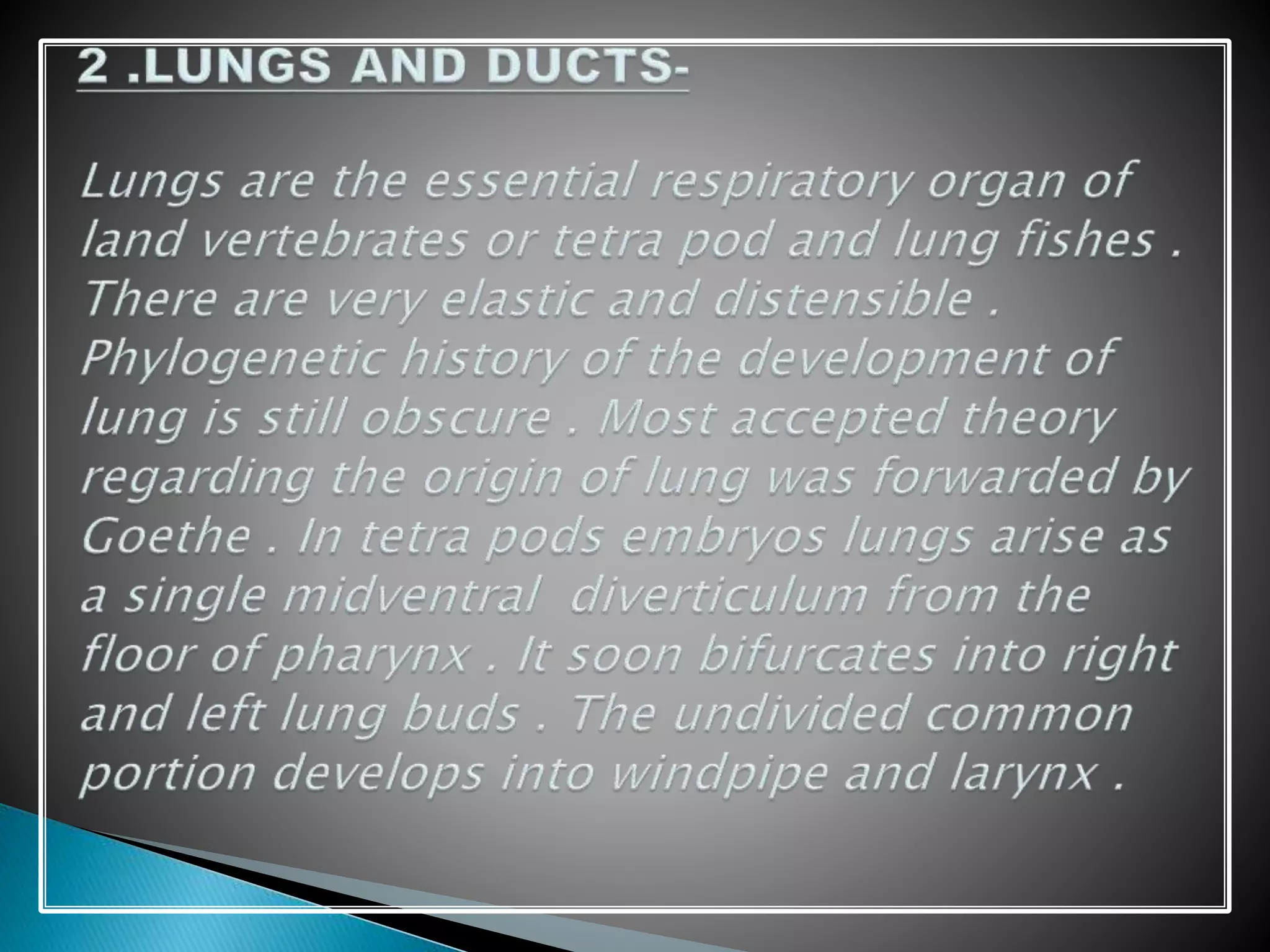 comparative anatomy of respiratory system of Reptiles, Birds and ...
