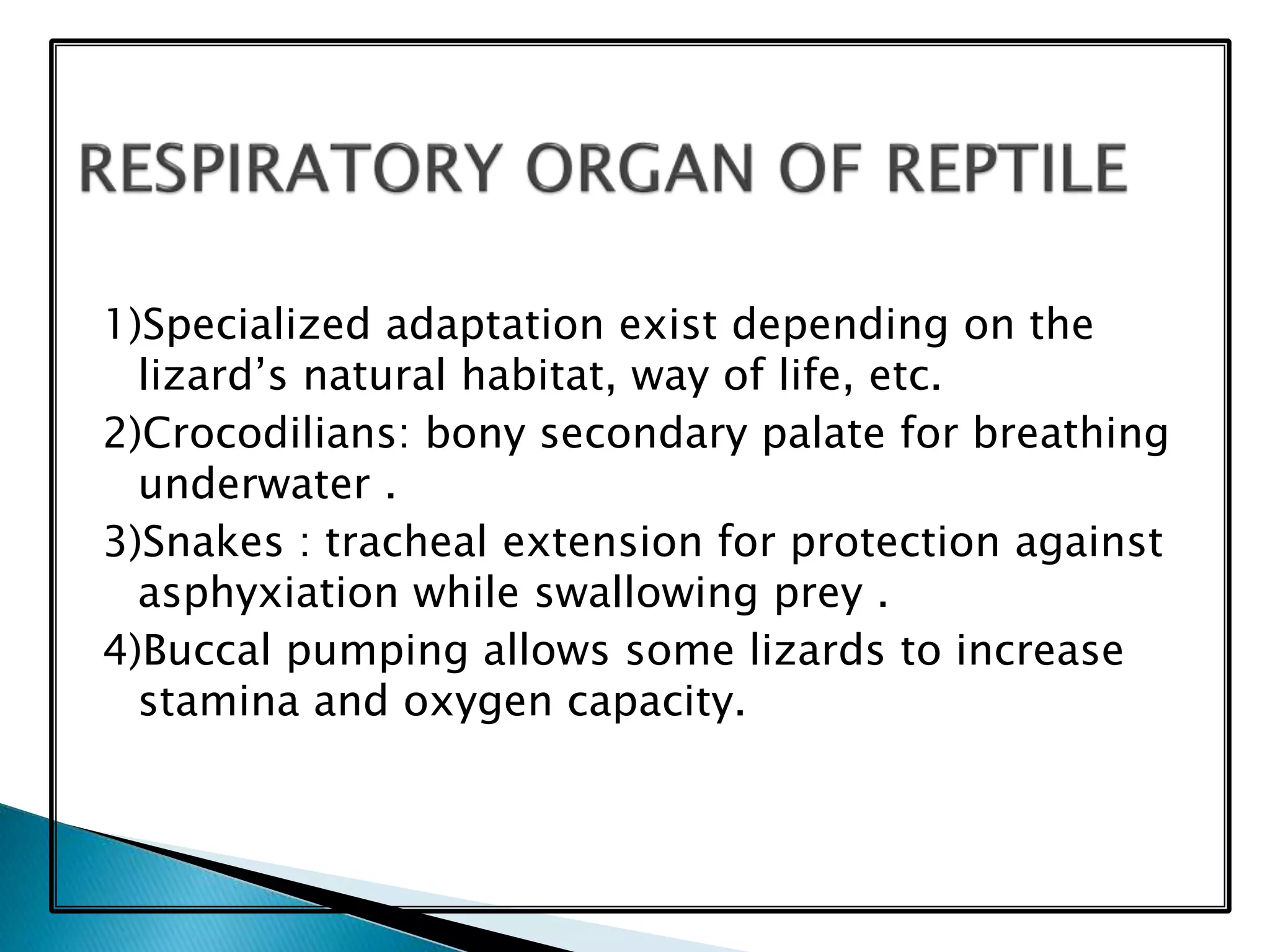 comparative anatomy of respiratory system of Reptiles, Birds and ...