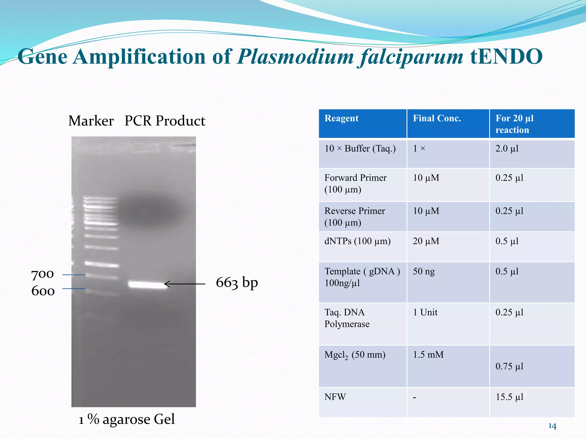 Cloning, expression and purification of tRNA intron splicing ...