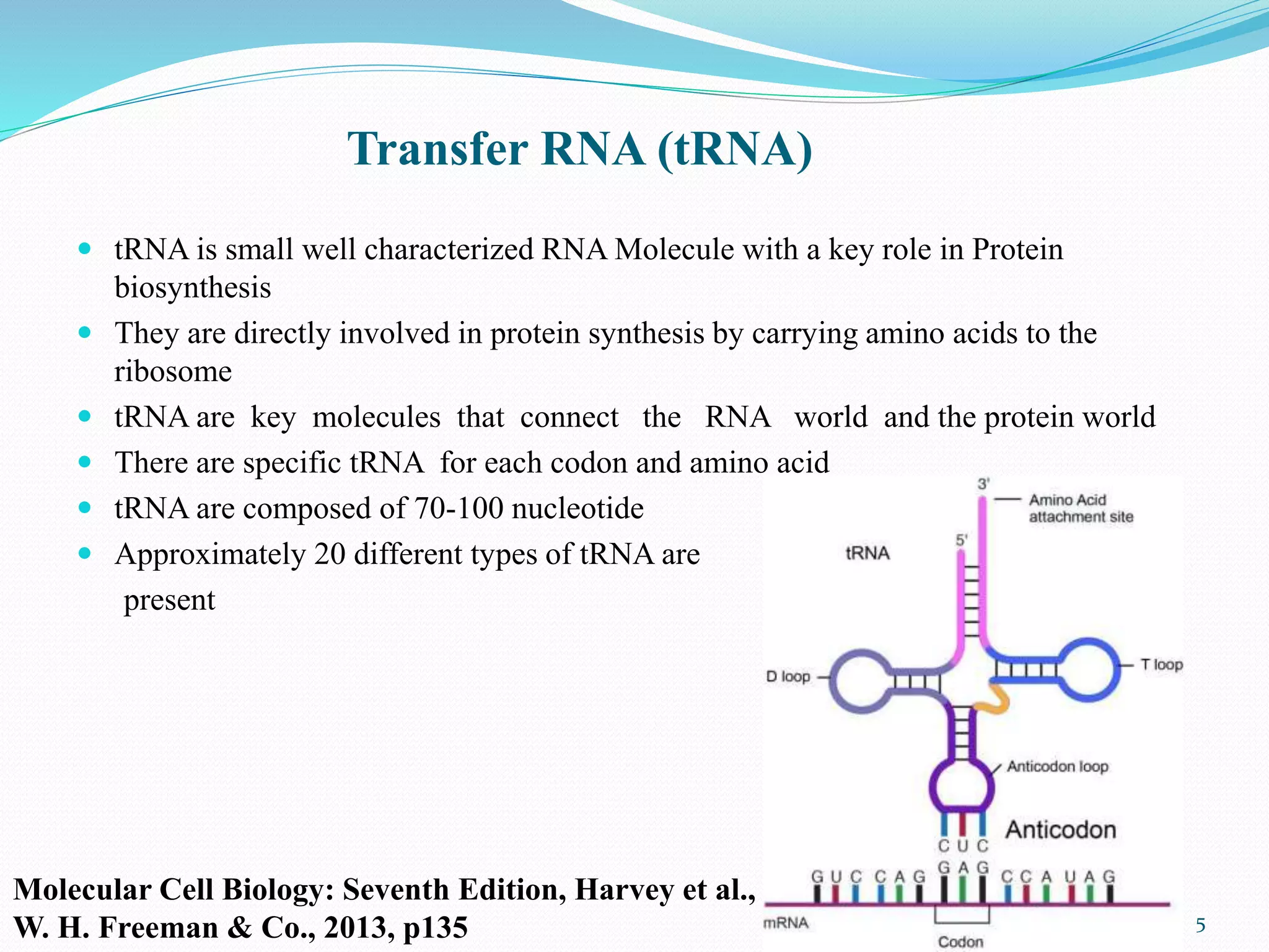 Cloning, expression and purification of tRNA intron splicing ...