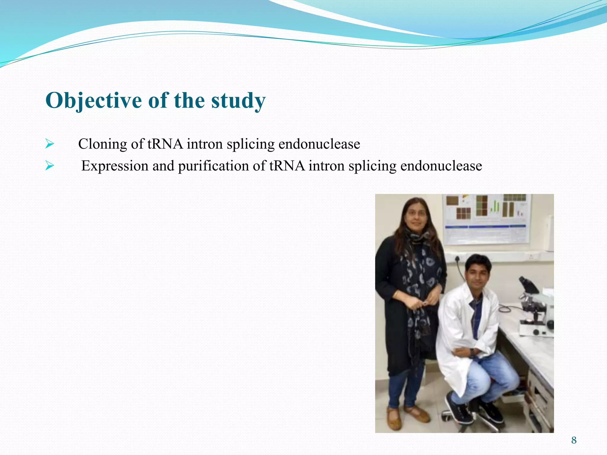 Cloning, expression and purification of tRNA intron splicing ...
