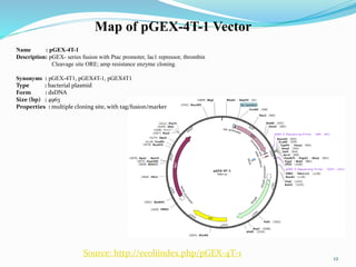 Cloning, expression and purification of tRNA intron splicing endonuclease of Plasmodium ...