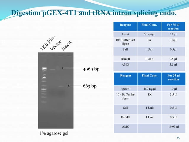 Cloning, expression and purification of tRNA intron splicing ...