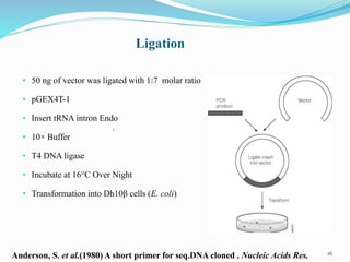 Cloning, expression and purification of tRNA intron splicing ...