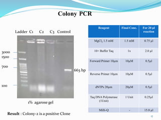 Cloning, expression and purification of tRNA intron splicing ...