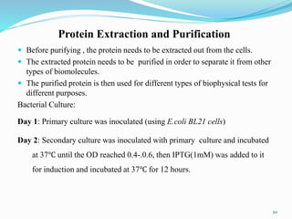 Cloning, expression and purification of tRNA intron splicing ...