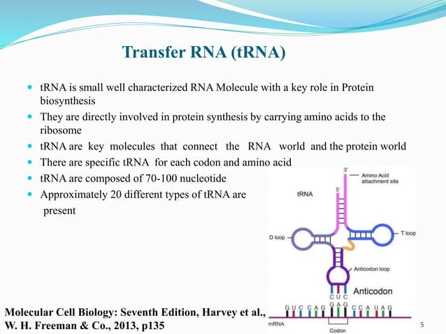 Cloning, expression and purification of tRNA intron splicing ...