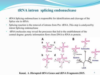 Cloning, expression and purification of tRNA intron splicing ...