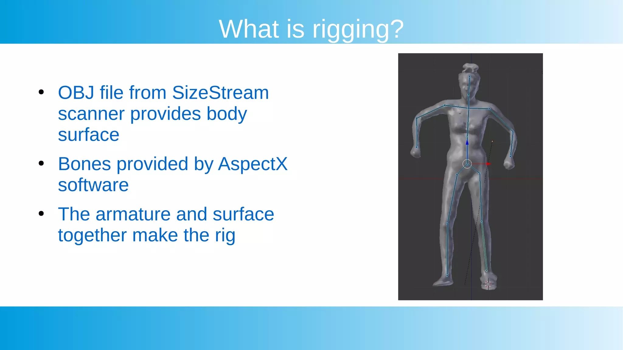 Rigging a humanoid in Blender and Unity | PDF