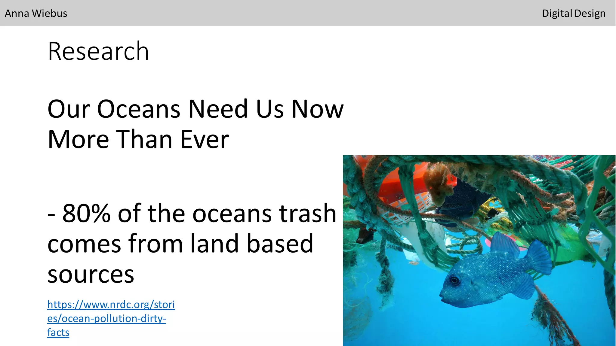 Ocean Pollution | PDF