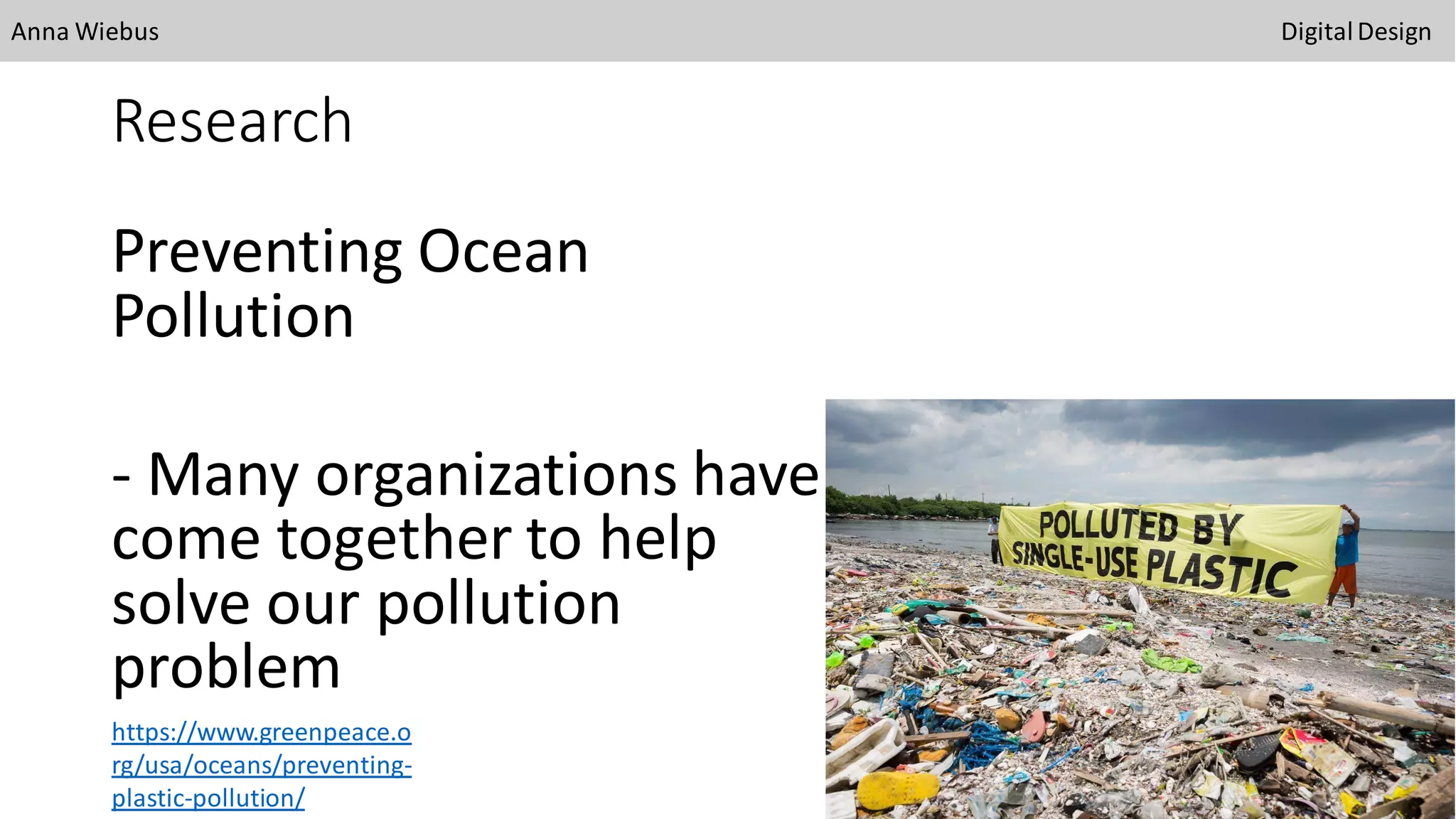Ocean Pollution | PDF