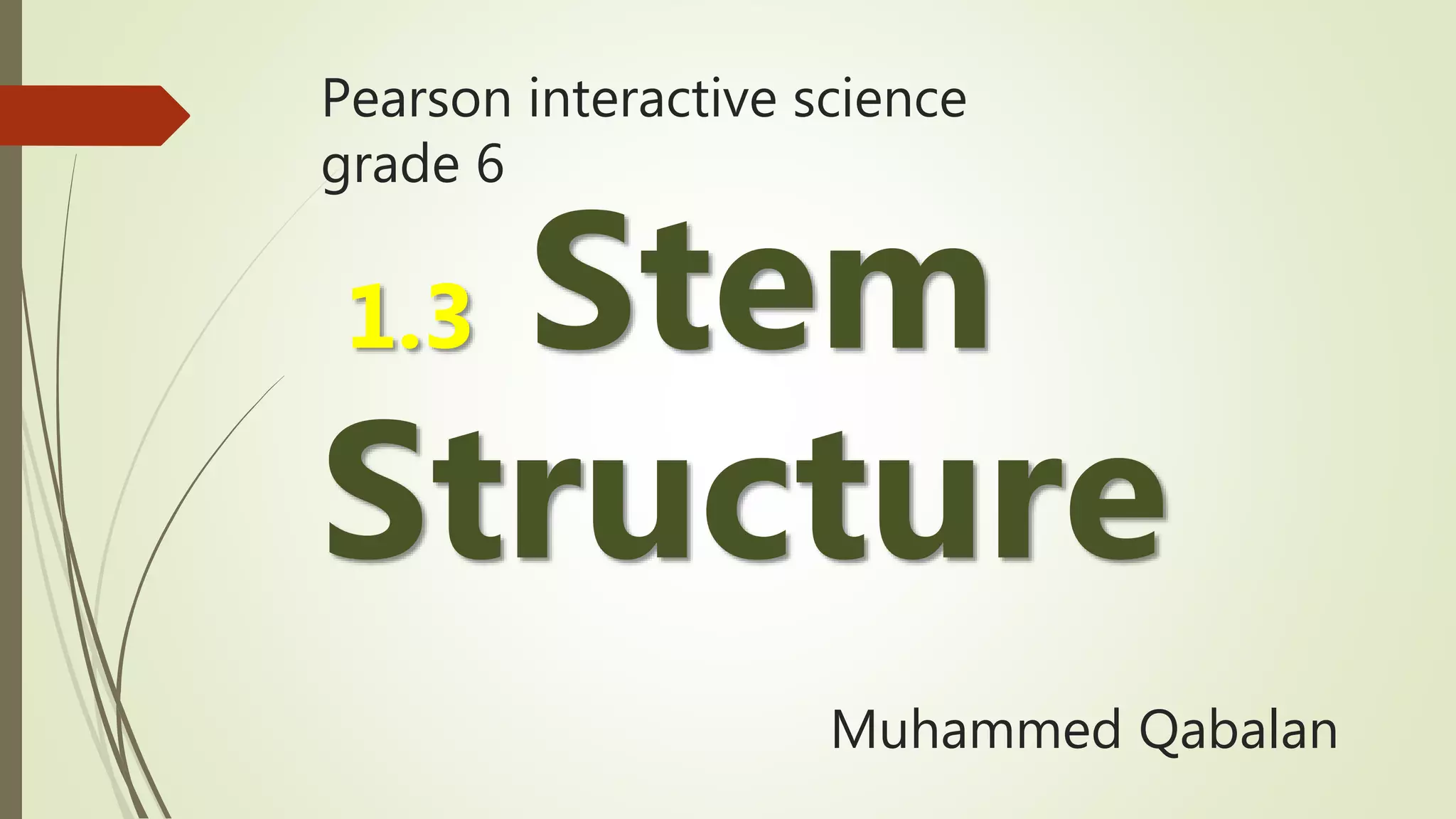 Stem Structure grade 6 Science | PPTX