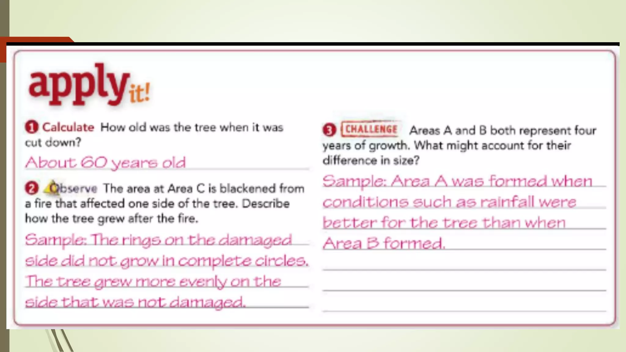 Stem Structure grade 6 Science | PPTX