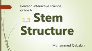 Stem Structure grade 6 Science | PPTX
