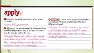 Stem Structure grade 6 Science | PPTX