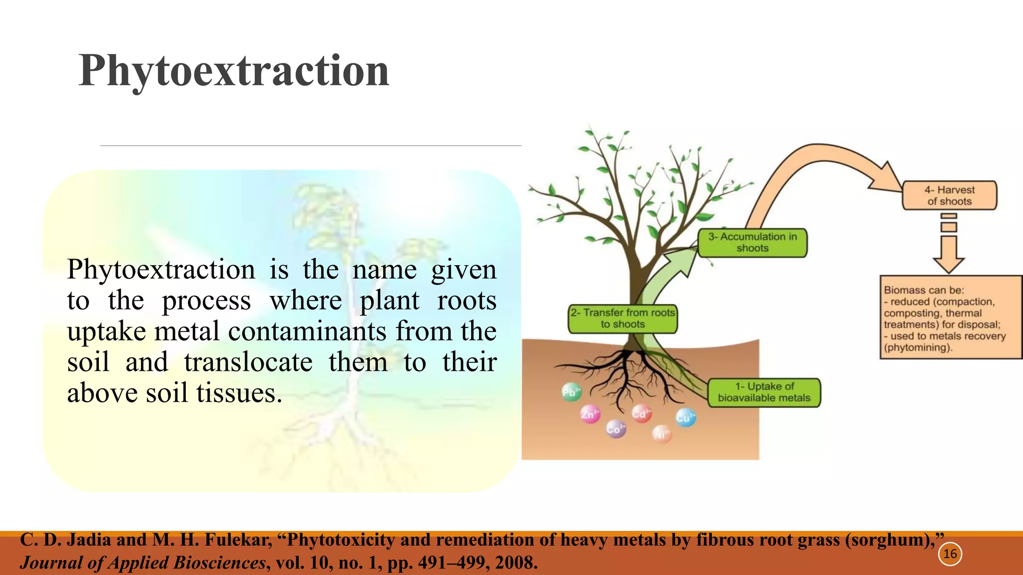Chelate Assisted Phytoextraction | PPTX