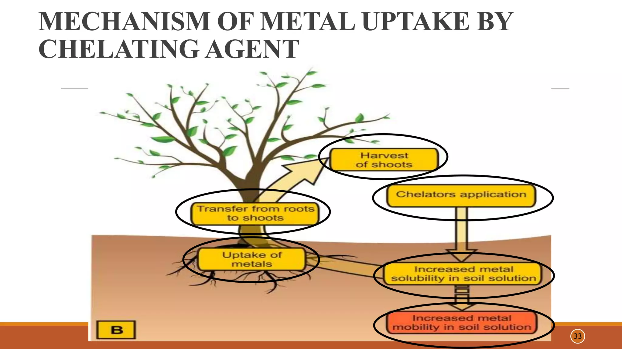 Chelate Assisted Phytoextraction | PPTX
