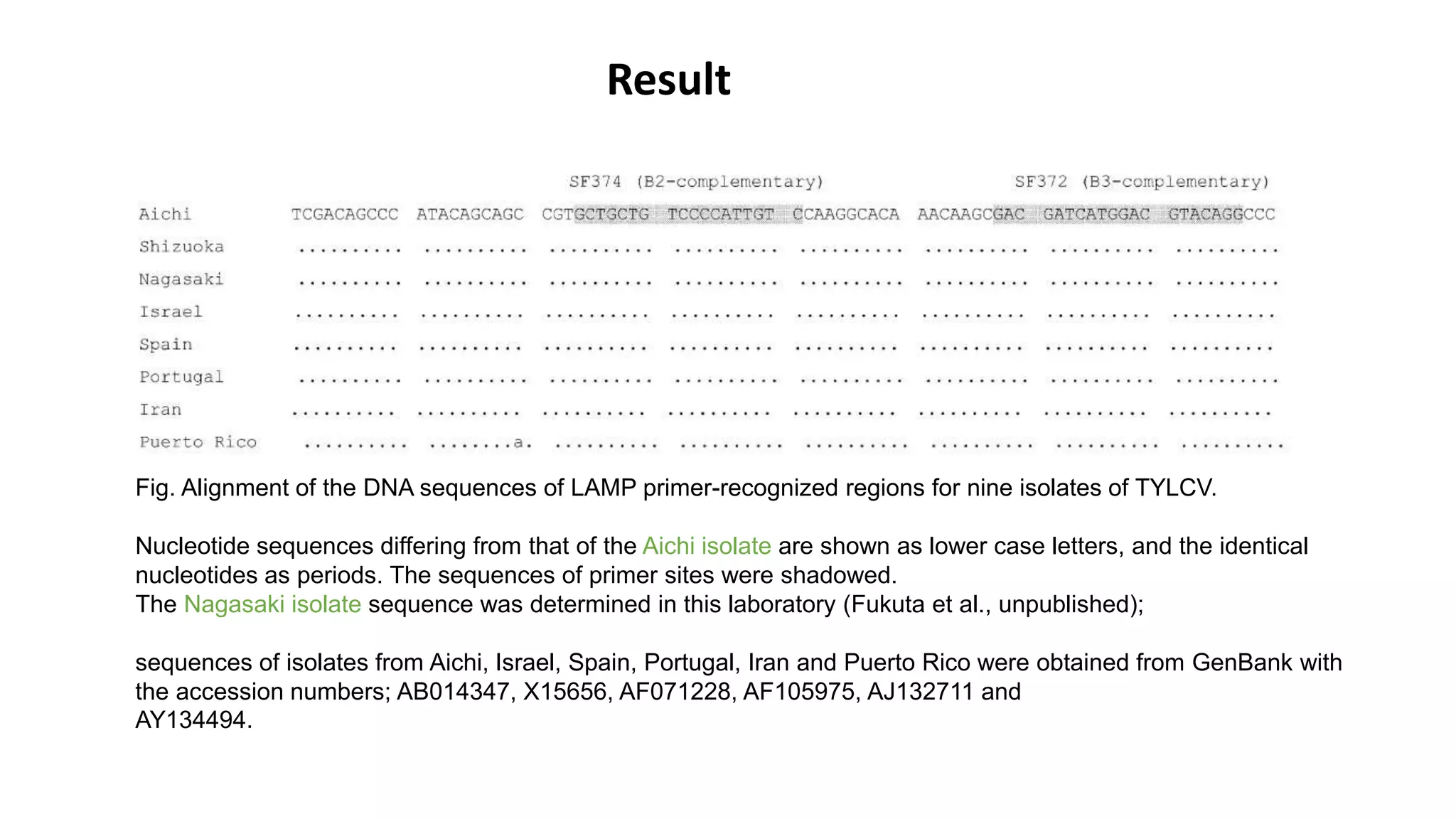 Loop Mediated Isothermal Amplification (LAMP) | PPTX