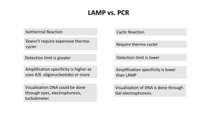 Loop Mediated Isothermal Amplification (LAMP) | PPTX