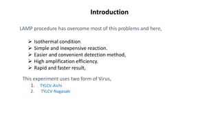 Loop Mediated Isothermal Amplification (LAMP) | PPTX