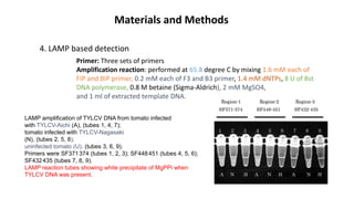 Loop Mediated Isothermal Amplification (LAMP) | PPTX