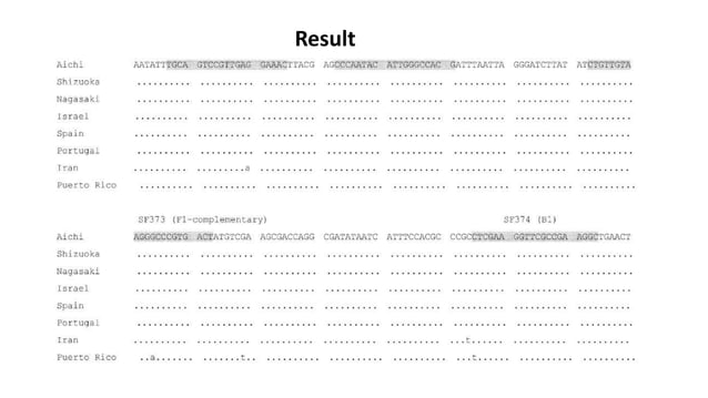 Loop Mediated Isothermal Amplification (LAMP) | PPTX