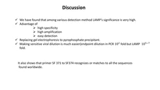 Loop Mediated Isothermal Amplification (LAMP) | PPTX