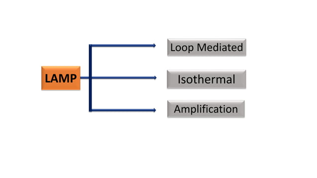 Loop Mediated Isothermal Amplification (LAMP) | PPTX