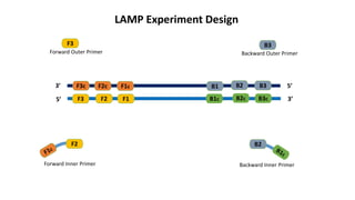 Loop Mediated Isothermal Amplification (LAMP) | PPTX