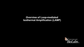 Loop Mediated Isothermal Amplification (LAMP) | PPTX