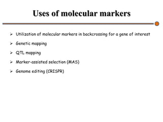 Molecular Markers | PPT