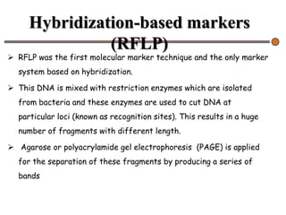 Molecular Markers | PPT