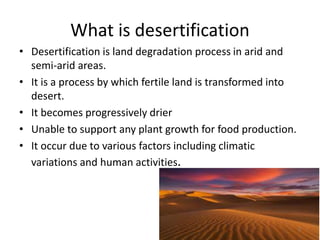 desertification | PPTX