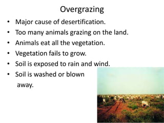 desertification | PPTX