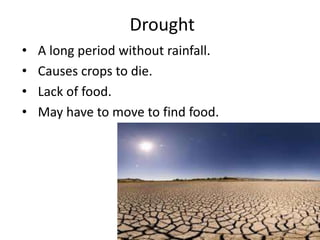 desertification | PPTX